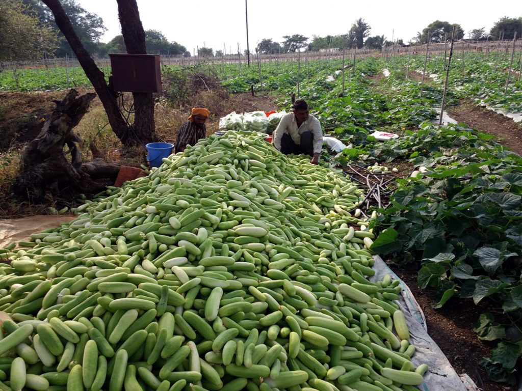 Beed - Deendayal Research Institute