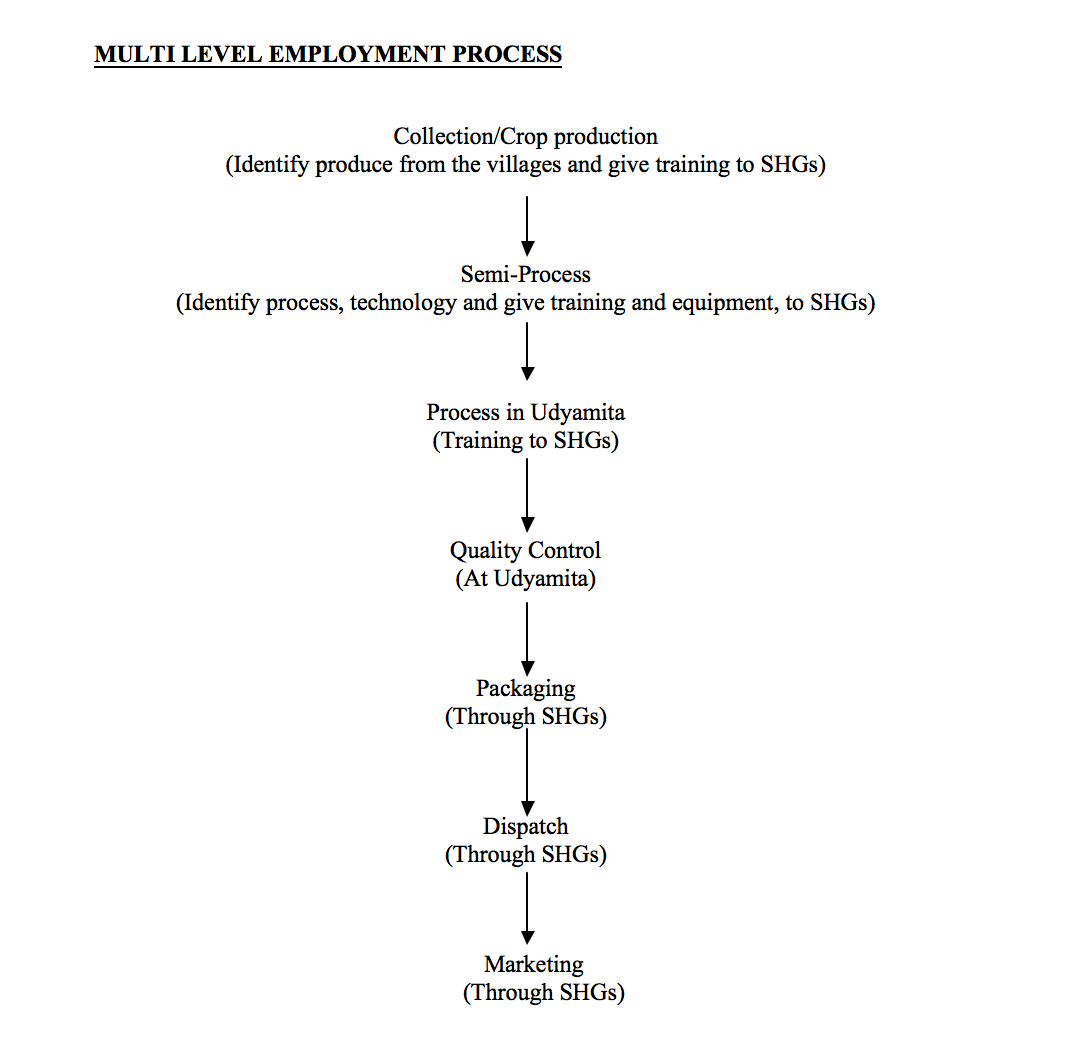 Multi Level Employment - Deendayal Research Institute